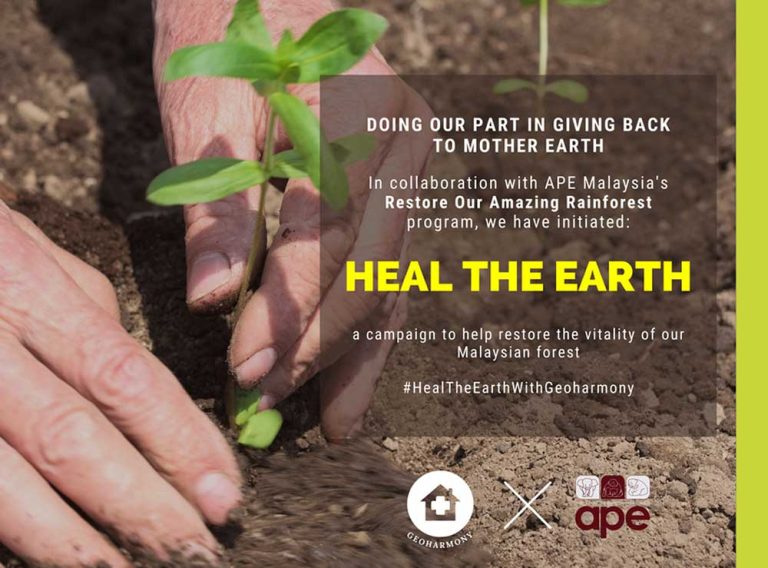 "HEAL THE EARTH" A CAMPAIGN TO GIVE BACK TO THE MALAYSIAN RAINFOREST ...